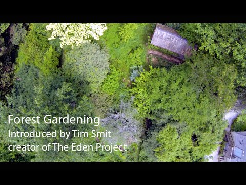 Shrubs for Gardens, Agroforestry and Permaculture | Permaculture Market